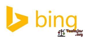 Ventajas y Desventajas de Bing 【Pros y Contras】